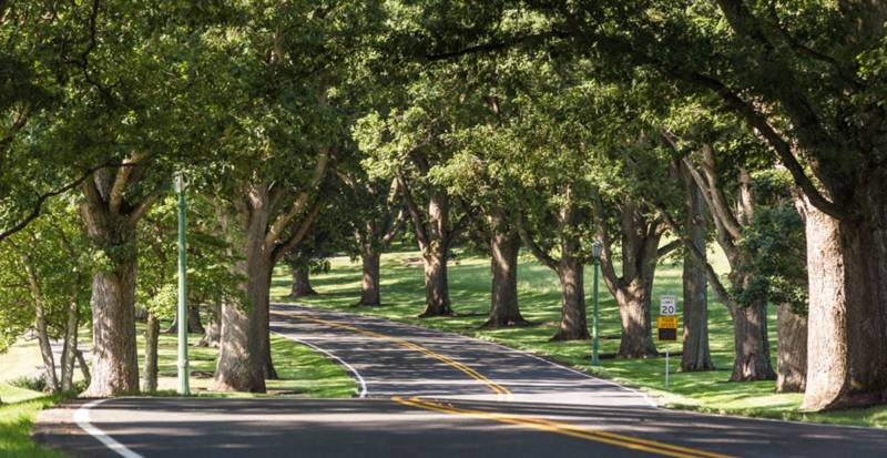A Tribute to Trees - Masonic Villages of Pennsylvania